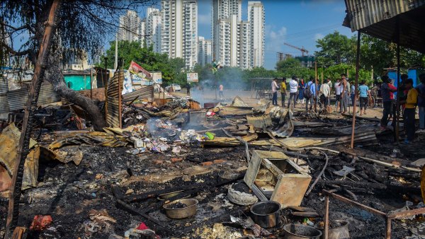 SIT To Be Formed, Role Of Monu Manesar Being Probed: Haryana DGP On ...