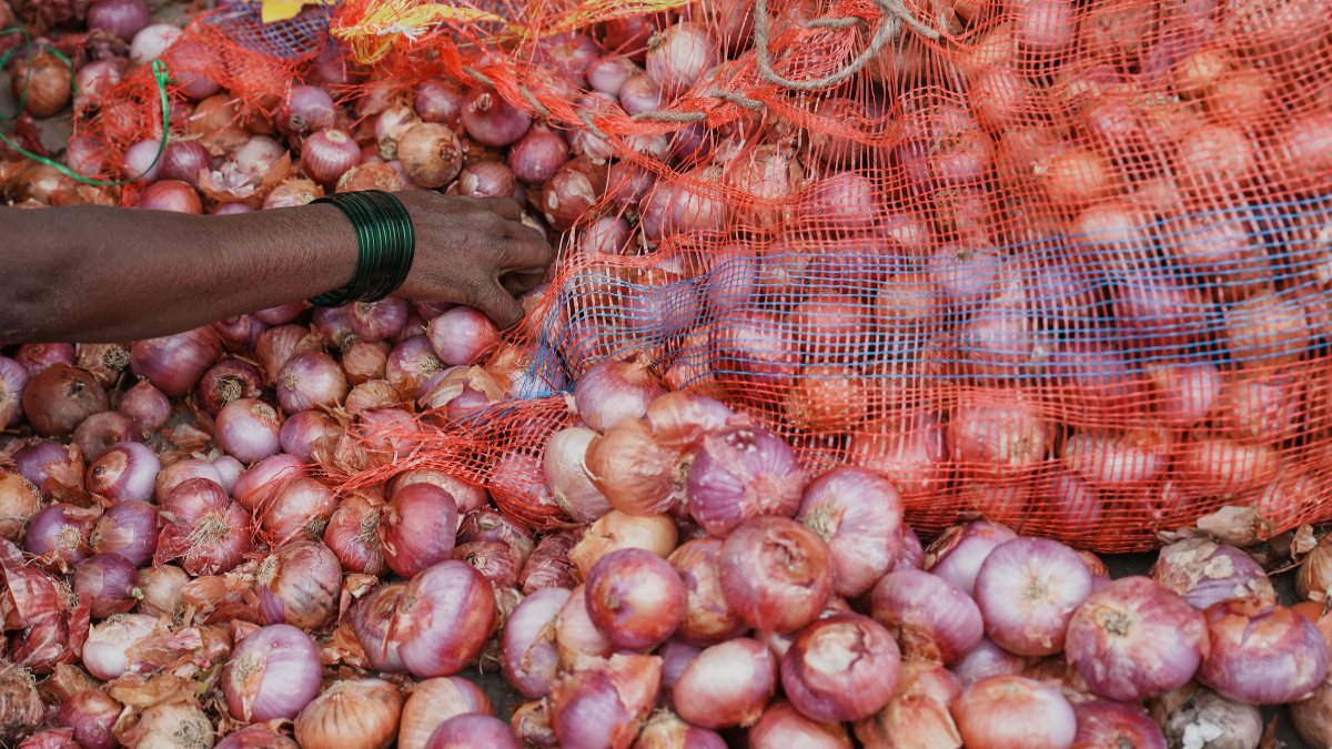 Onion Prices Likely To Hit Rs 60-70/kg In September: Report - Oneindia News