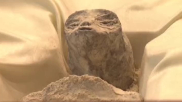Watch: 1000-Year-Old 'Alien Corpses Showcased In Mexico Congress ...