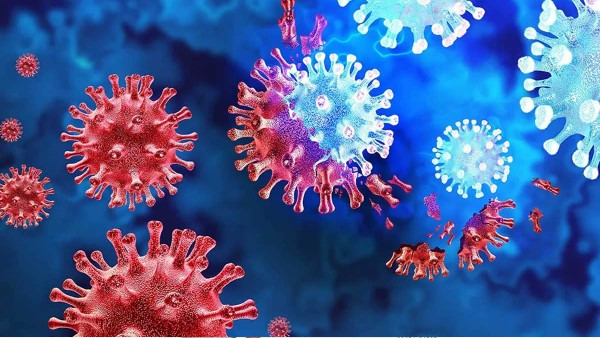 Disease X: The Unknown Pathogen That Could Kill 50 Million People ...