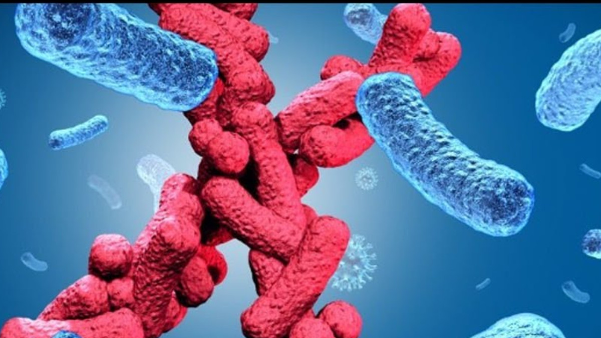 Explained! Four-Point Strategy To Fight Disease X - Oneindia News