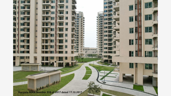 How Ambience Group Owner Revolutionized the Shopping Experience for Its ...