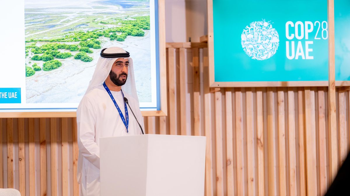 Umm Al Qaiwain's Sustainable Blue Economy Initiative for a Greener ...