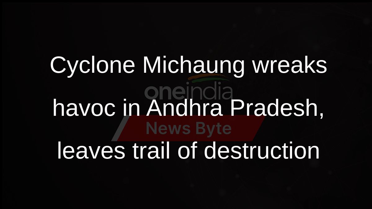 Cyclone Michaung leaves trail of destruction in Andhra Pradesh ...