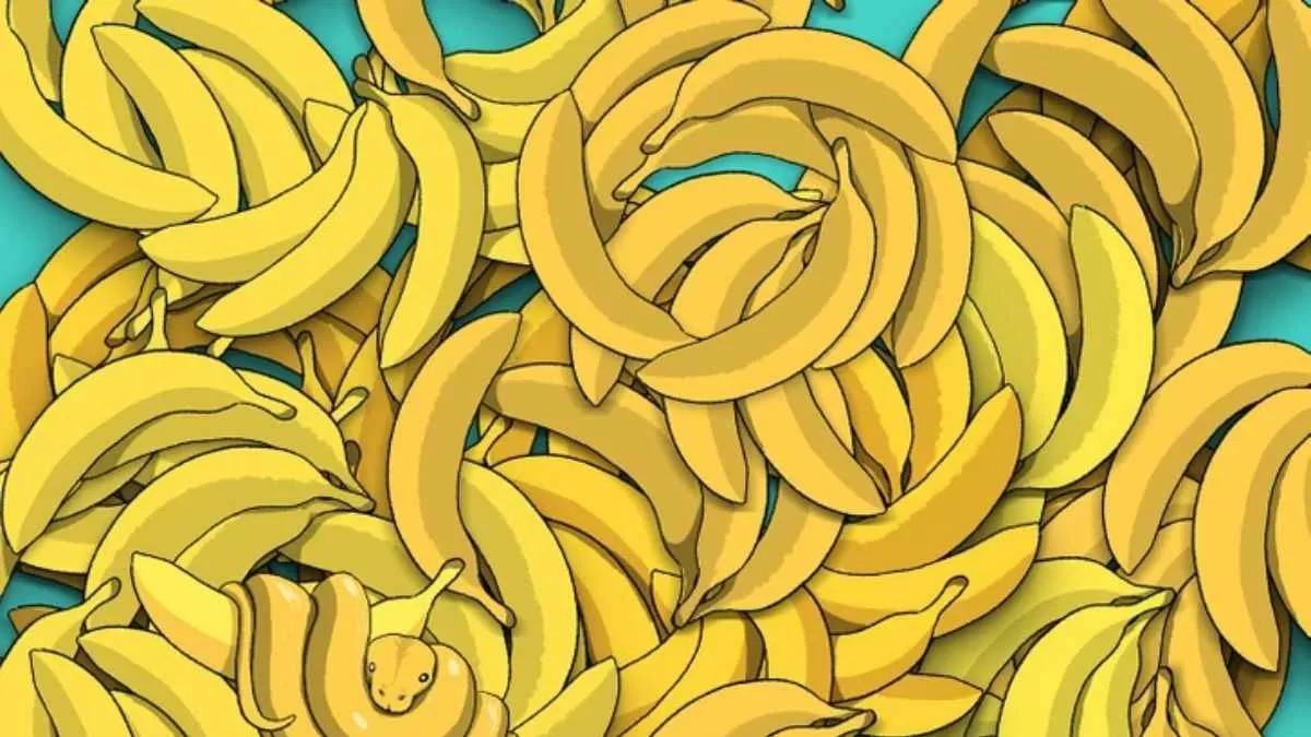 Optical Illusion To Test Your IQ: Find The Hidden Snake Among Bananas ...