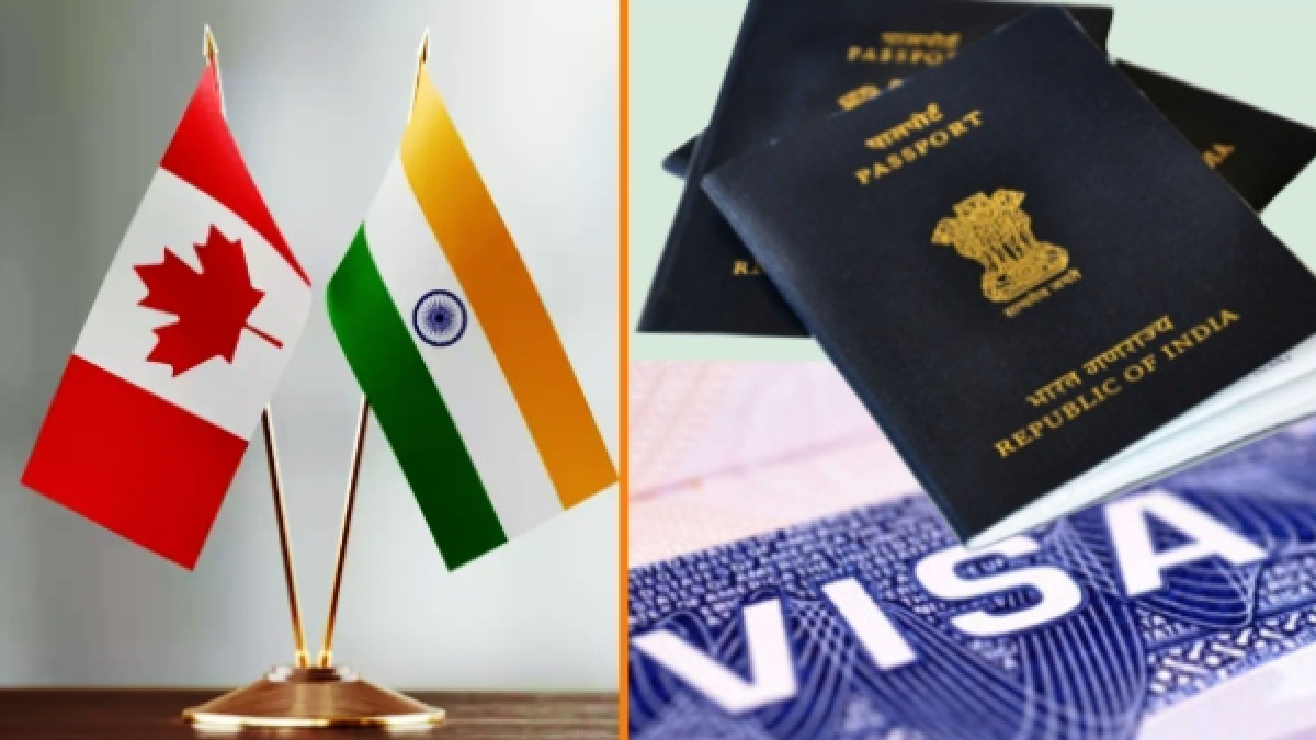 86% Drop In Study Permits To Indian Students In Canada Amid Diplomatic ...