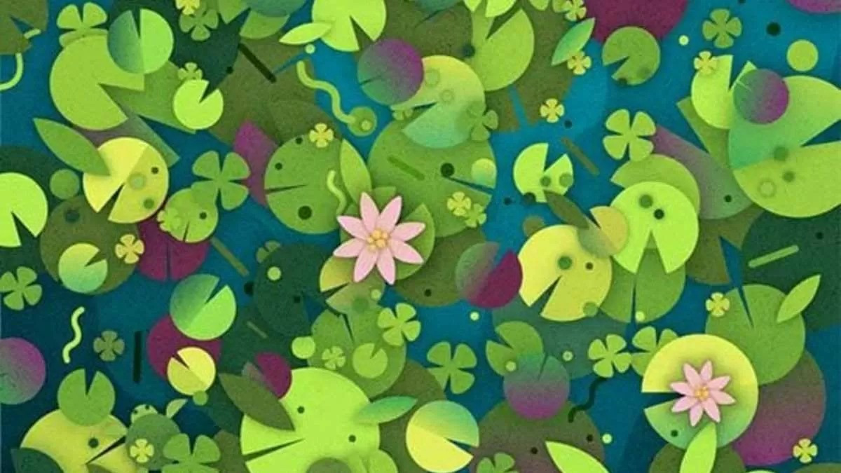 Optical Illusion Challenge: Can You Spot The Hidden Turtle Within 21 ...