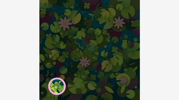 Optical Illusion Challenge: Can You Spot The Hidden Turtle Within 21 ...