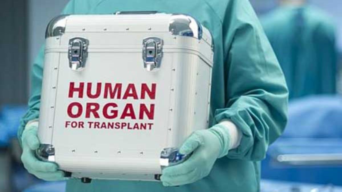 Bengaluru Traffic Police Created 22 Green Corridors In 2023 For Speedy ...