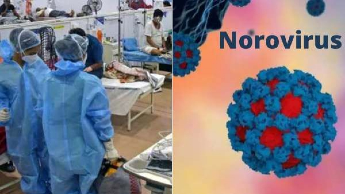 Norovirus Symptoms: Stomach Bug Cases On Rise In US? What Is the Incubation Period? - Oneindia News