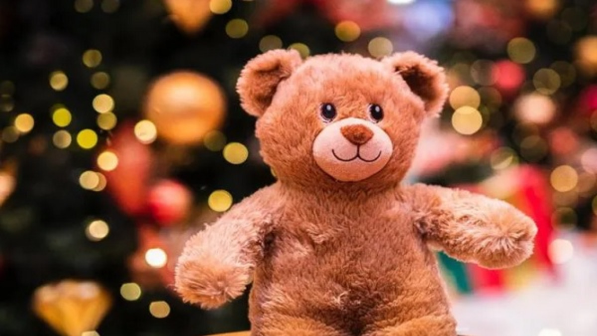 Valentine's Week 2024: Unique Ideas To Celebrate Teddy Day This Year ...