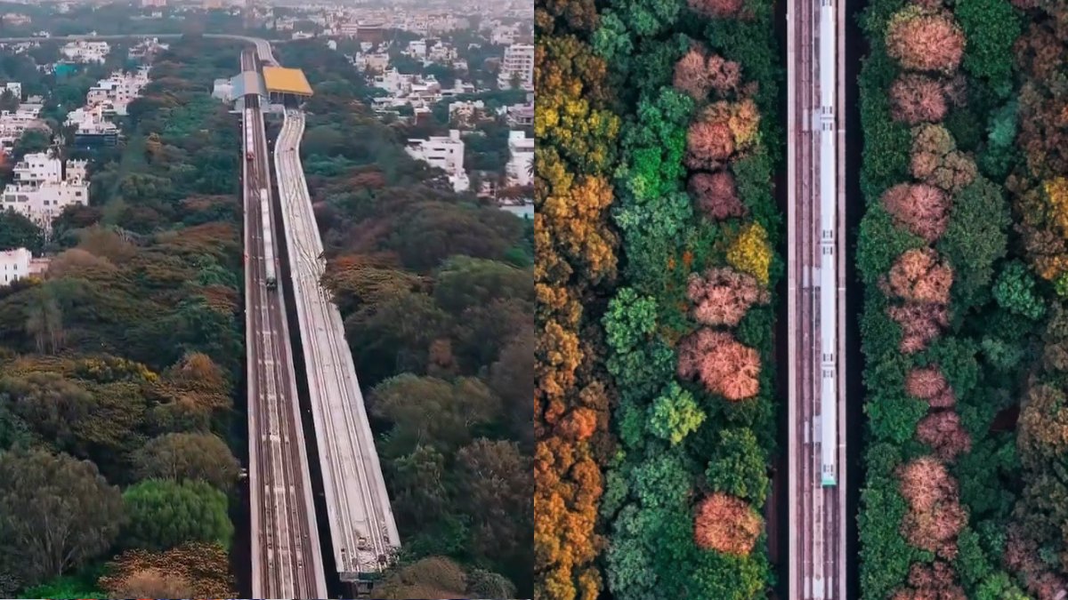 Bengaluru Namma Metro Goes Green: Planting 15,000 Trees To Combat Phase ...