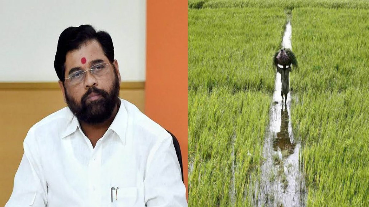 Maharashtra's ₹1 Crop Insurance Scheme To Aid Farmers Against Climate ...