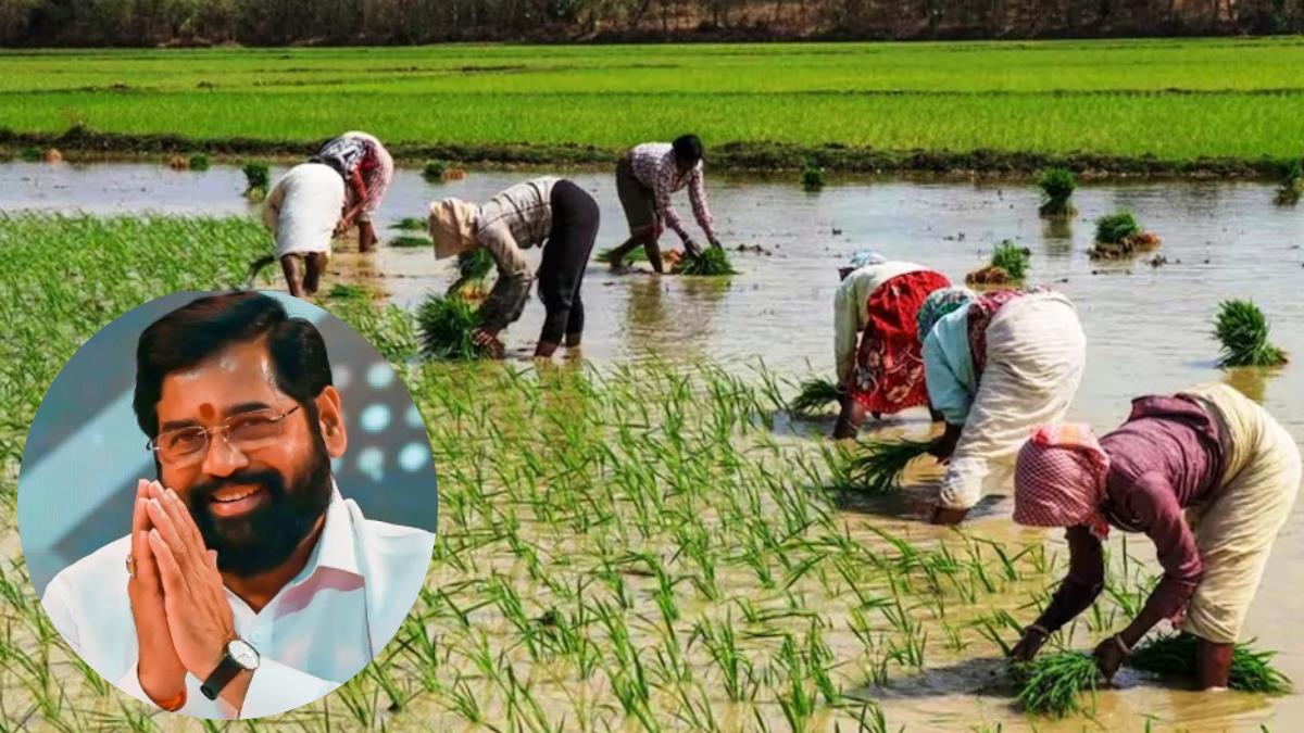 Maharashtra Farmers To Benefit Rrom Re 1 Crop Insurance Scheme ...