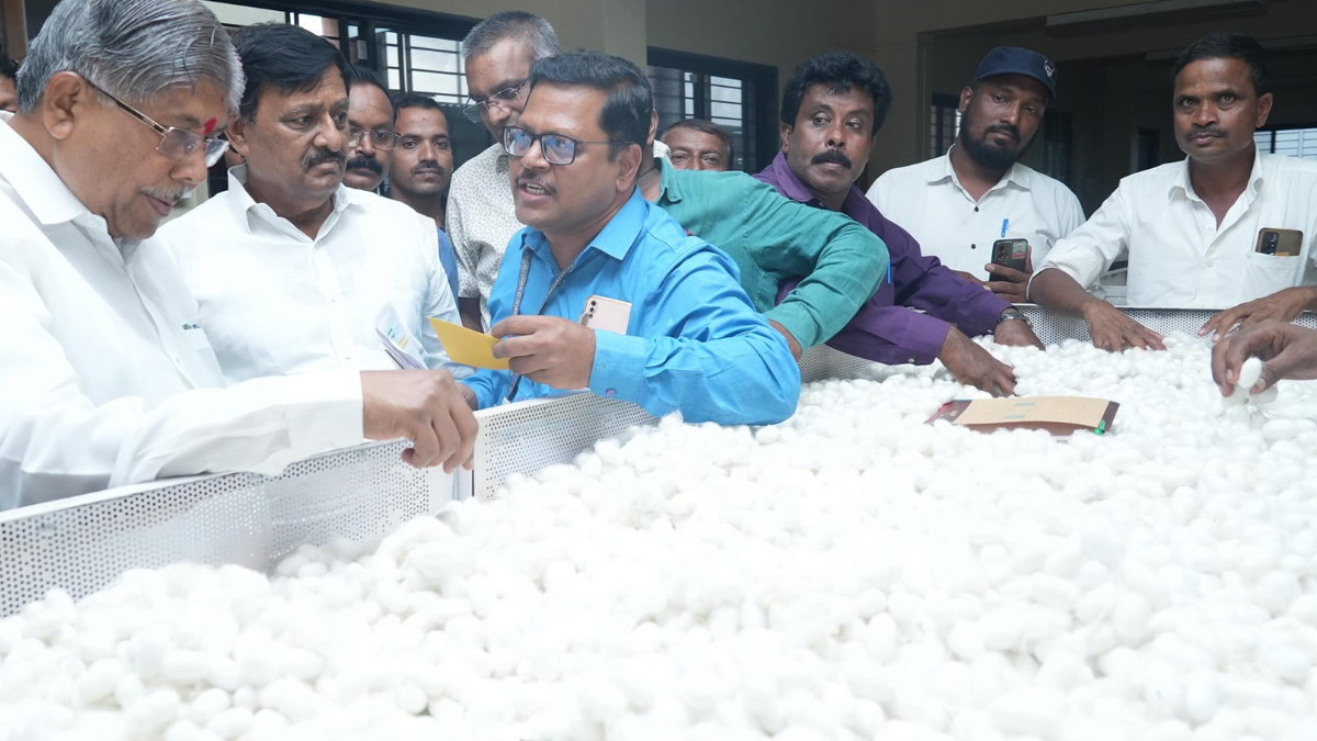 Maharashtra Opens First Silk Centre In Hiraj, Boosting Local Economy ...