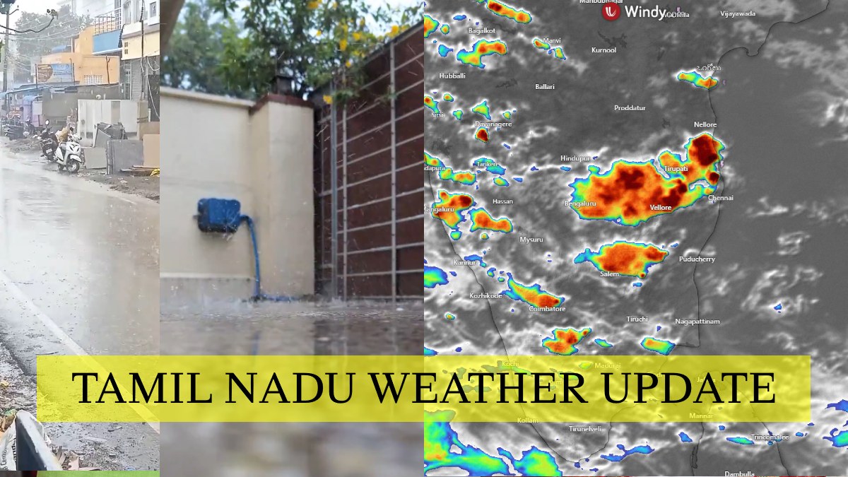 Tamil Nadu Weather Update: Chennai To Get Heavy Rains Tonight, Yellow ...