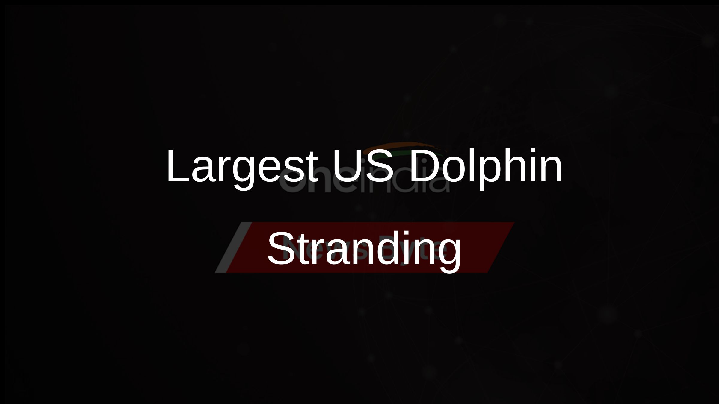 Historic Dolphin Mass Stranding on Cape Cod: A Record Event - Oneindia News