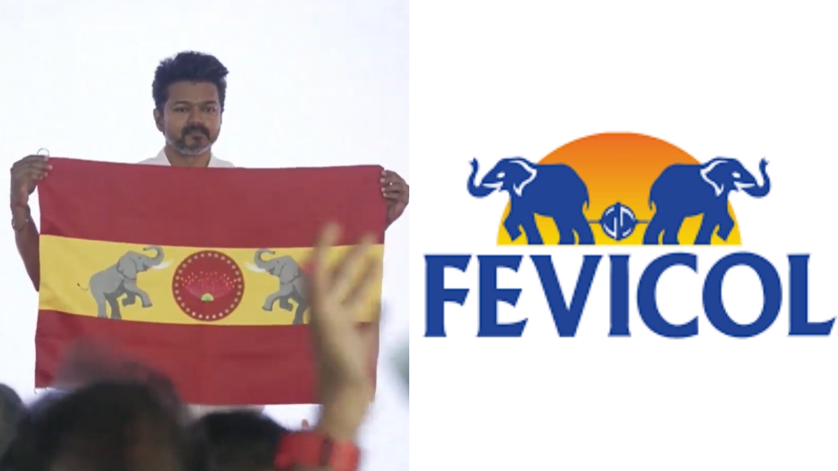Vijay Launches TVK Party Flag, Critics Compare It To Spanish Flag And ...