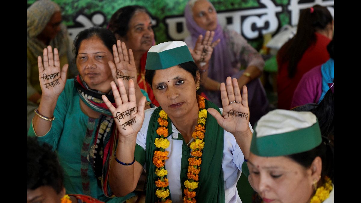 Farmer's Unique Protest Against Land Encroachment in Madhya Pradesh ...