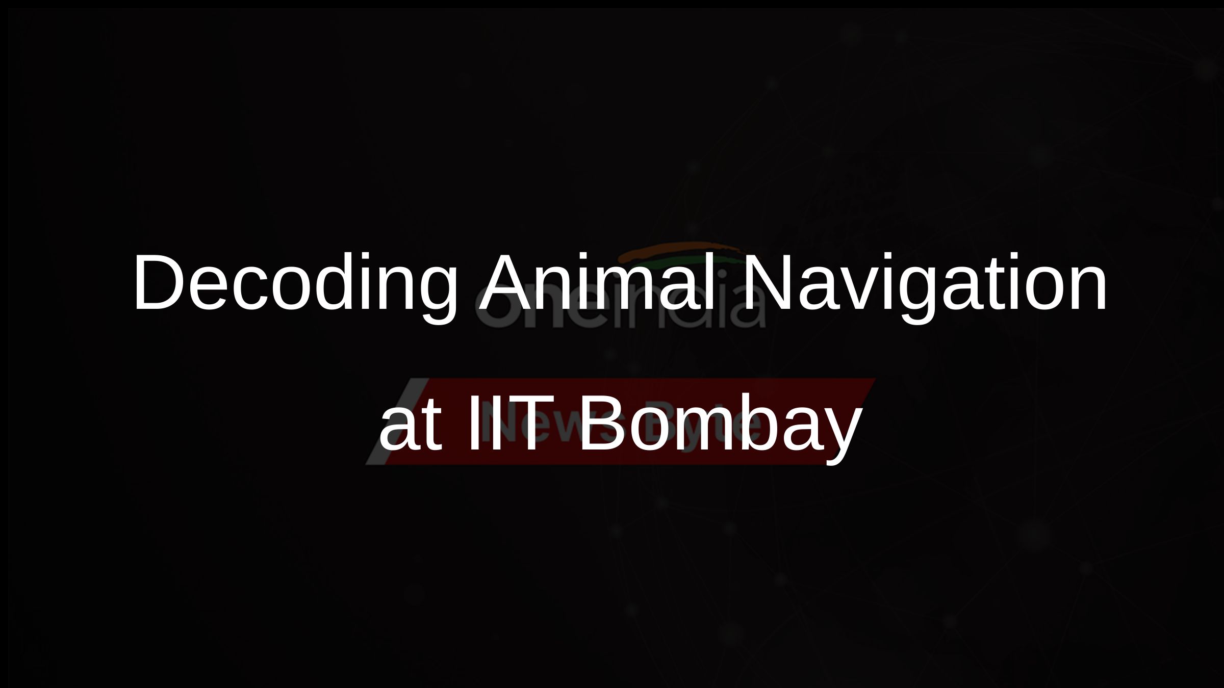 IIT Bombay Study Uses Robots to Understand Animal Homing Instincts ...