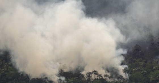 Amazon Forest Fire Disaster Photos: HD Images, Pictures, News Pics ...