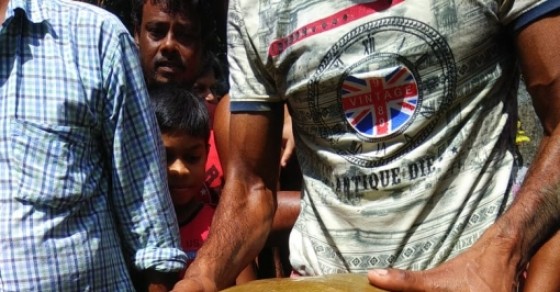 মহেশতলায় বিরল প্রজাতির কচ্ছপ উদ্ধার | Rare species of tortoise ...