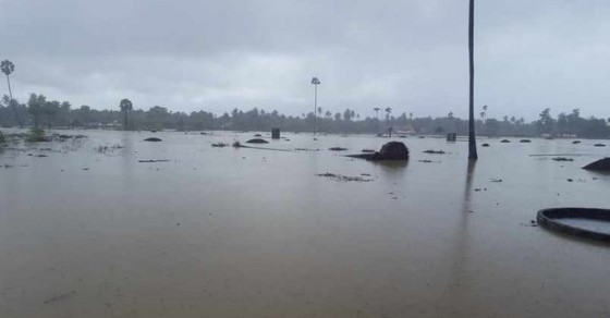 Damages Caused By Cyclone Burevi In Tamil Nadu Photos: HD Images ...