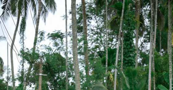 actor Sreejith Ravi and his wife Sajitha Sreejith with a tribute to ...