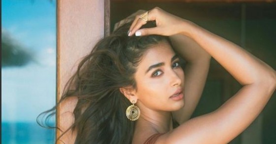 PHOTOS: भूरे रंगे के स्विमसूट में पूजा हेगड़े ने बिखेरा जलवा | Pooja ...