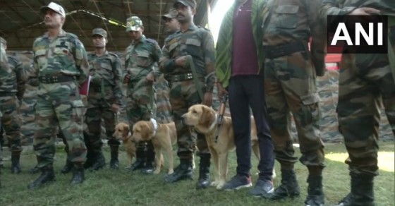 29 Army Dog Unit Remembers Indian Army Dog 'Zoom'. Photos: HD Images ...