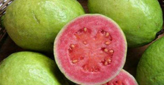 | Amazing Guava Benefits: Benefits from eyes to heart - Oneindia Kannada