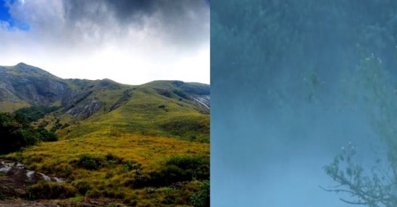 Munnar Weather Pictures: कोहरे के आगोश में केरल का स्वर्ग 'मुन्नार ...