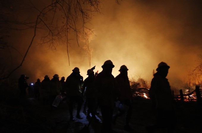 Amazon Forest Fire Disaster Photos: HD Images, Pictures, News Pics ...