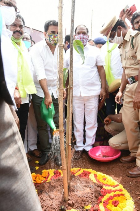 Minister Of MA & UD K.T. Rama Rao, During Haritha Haram Program At ...