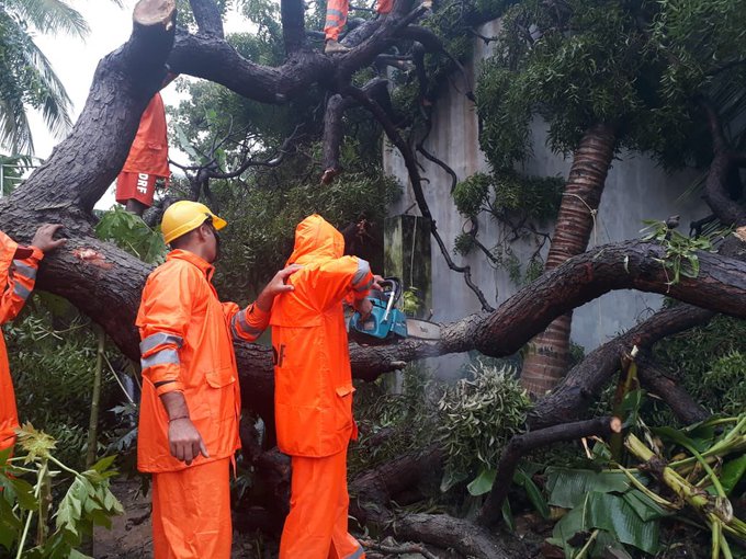 Damages Caused By Cyclone Burevi In Tamil Nadu Photos: HD Images ...