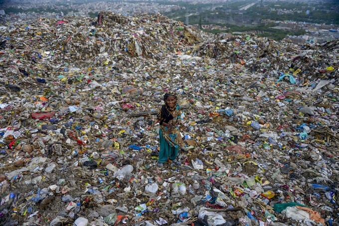 World Environment Day, 2021 Photos: HD Images, Pictures, News Pics ...