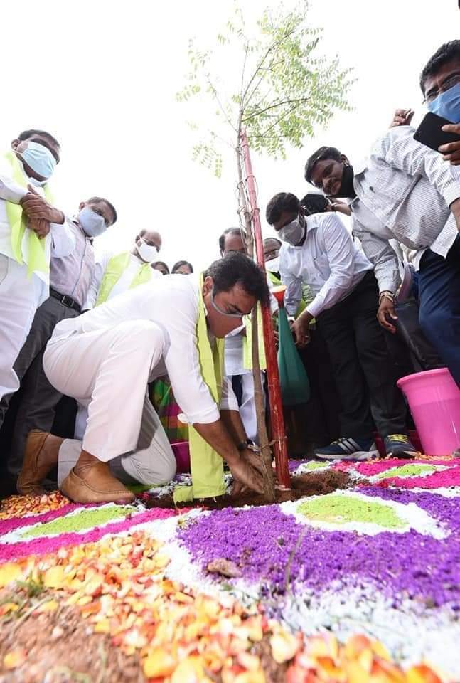 హరితహారం కార్యక్రమంలో భాగంగా మొక్కలను నాటిన మంత్రి కేటీఆర్ | Minister ...