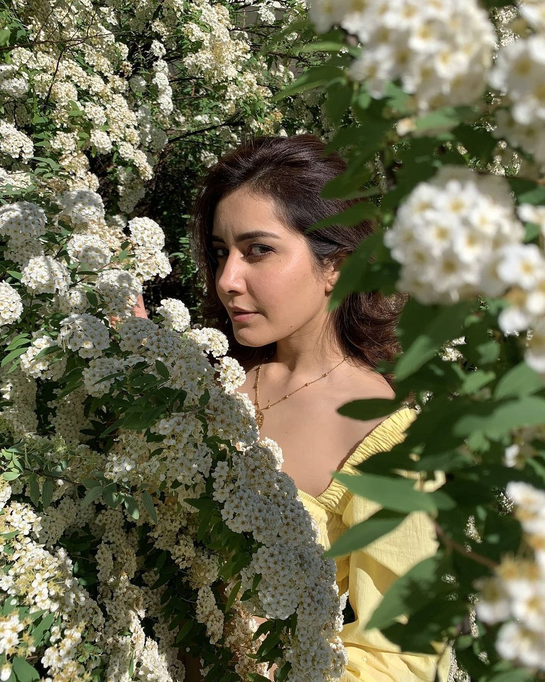 Rashi Khanna : బ్యాక్ లెస్ టాప్ తో సైడ్ అరాచకం.. అందాల విందు చేస్తున్న ...