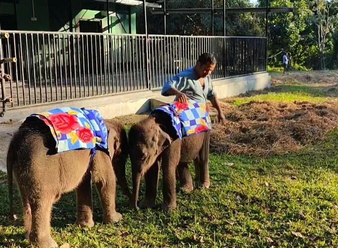 Lucknow Zoo Install Heaters For Wild Animals Due To Cold Wave Photos ...