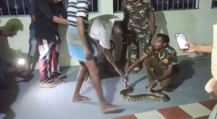 PHOTOS : எவ்ளோ பெருசா இருக்கு... தைப்பொங்கல் விழாவிற்கு வந்த ...