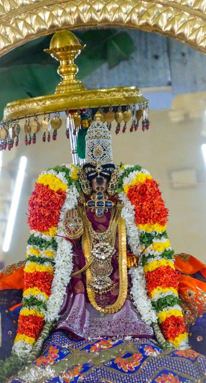 ஸ்ரீரங்கம் ரங்கநாதர் கோவில் மாசி மக தெப்ப உற்சவம் - உலா வந்த ...