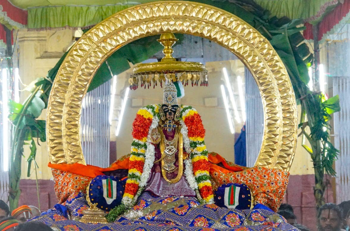 ஸ்ரீரங்கம் ரங்கநாதர் கோவில் மாசி மக தெப்ப உற்சவம் - உலா வந்த ...
