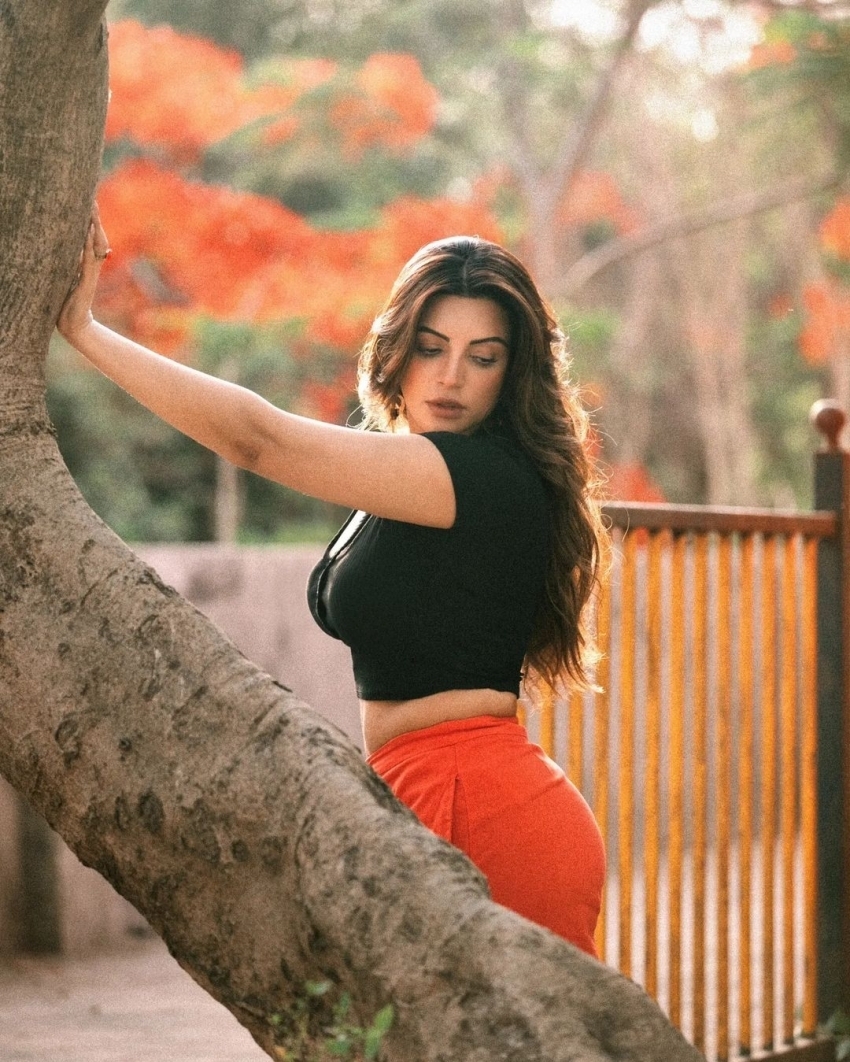 PHOTOS : வாவ்.. டாப் ஆங்கிளில் சொக்கவைக்கும் அழகு.. நடிகை ஷாமா ...