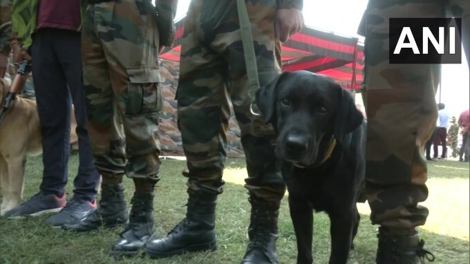 29 Army Dog Unit Remembers Indian Army Dog 'Zoom'. Photos: HD Images ...