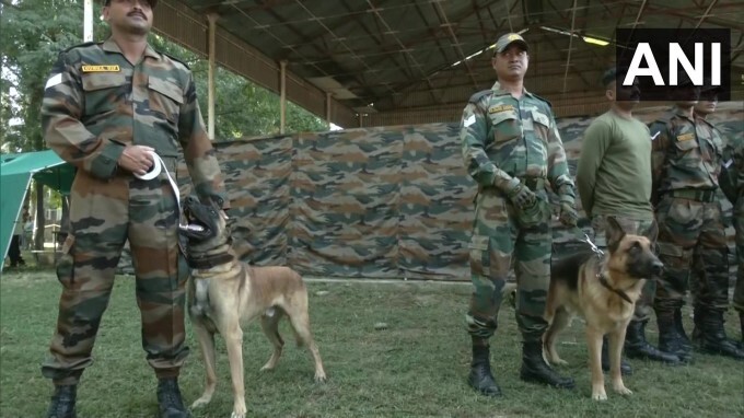 29 Army Dog Unit Remembers Indian Army Dog 'Zoom'. Photos: HD Images ...