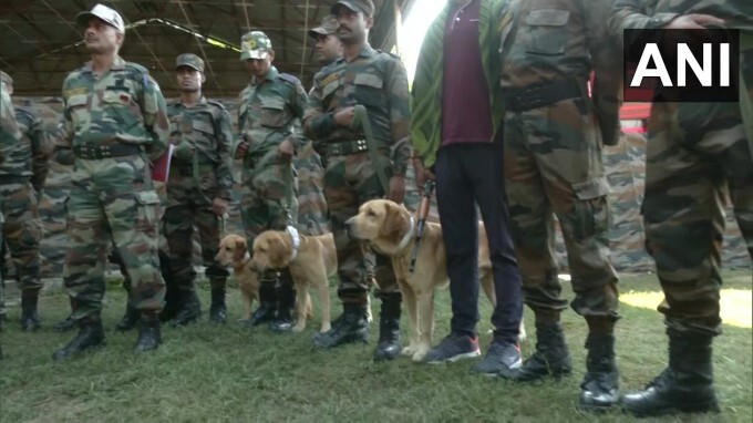29 Army Dog Unit Remembers Indian Army Dog 'Zoom'. Photos: HD Images ...