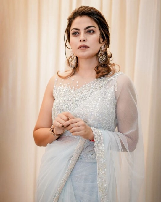 Actress Anusree Looking Gorgeous In Designer Saree Photos: HD Images ...