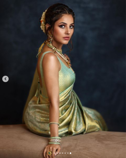 Actress Shehnaaz Gill Looking Stunning In Saree Pic Photos: HD Images ...