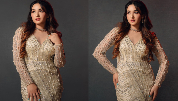 Aditi Budhathoki Pics: गोल्डन गाउन में अदिति बुधाथोकी ने ढाया कहर ...