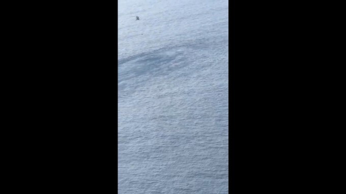 ICG Dornier Aircraft Lined Up To Locate The MiG-29K Fighter Jet Photos ...